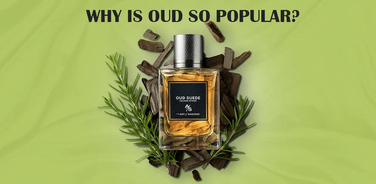 Why oud is so popular and most expensive perfume