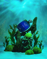 Hawas Atlantis Perfume 100ml EDP By Rasasi